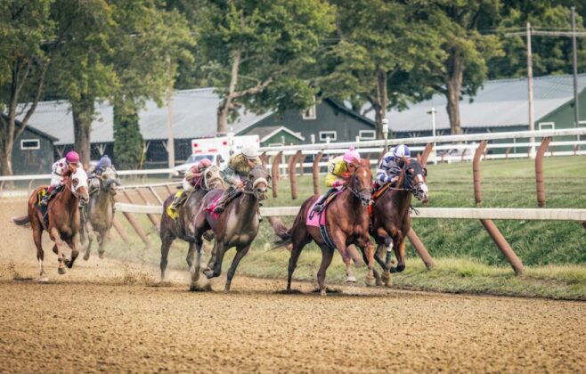 10 Different Types of Horse Sports and Competitions