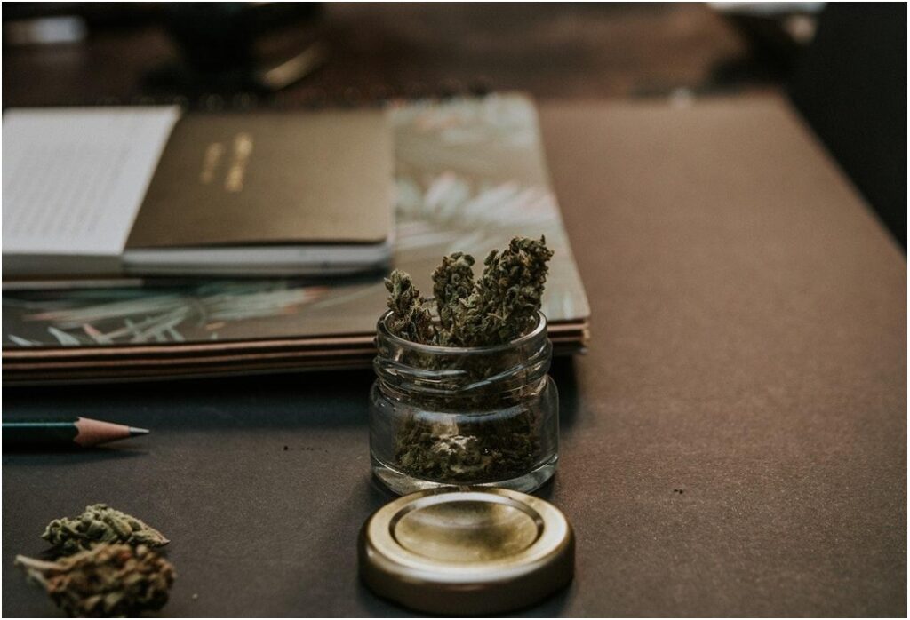 10 Tips to Get the Most Out of Your Dry Bud